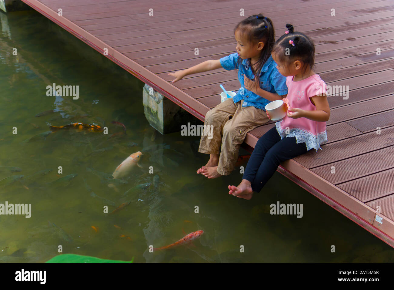 Little kids look at the water and feeding fishs on the wooden bridge ...