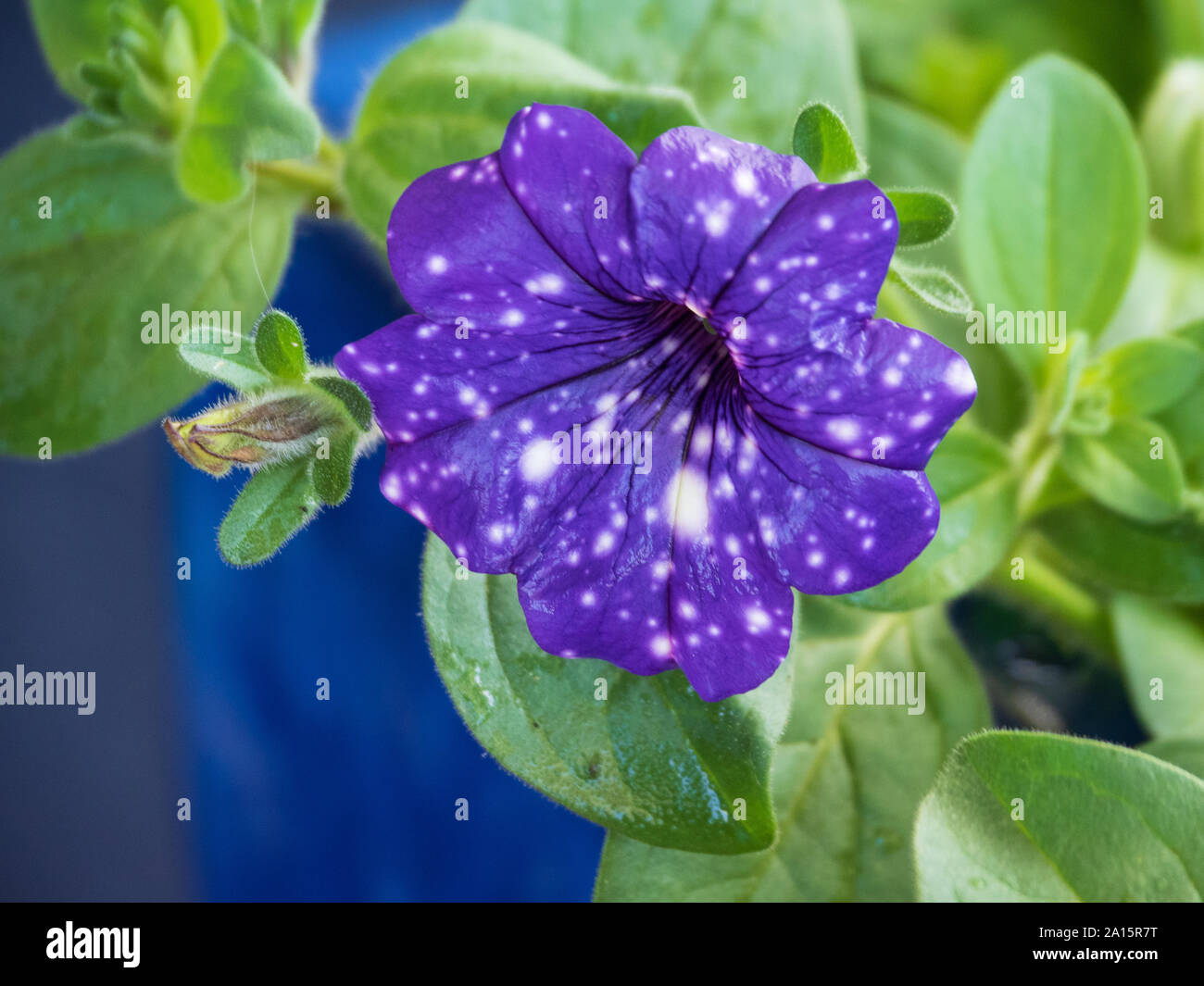 Fluro like white spots hi-res stock photography and images - Alamy