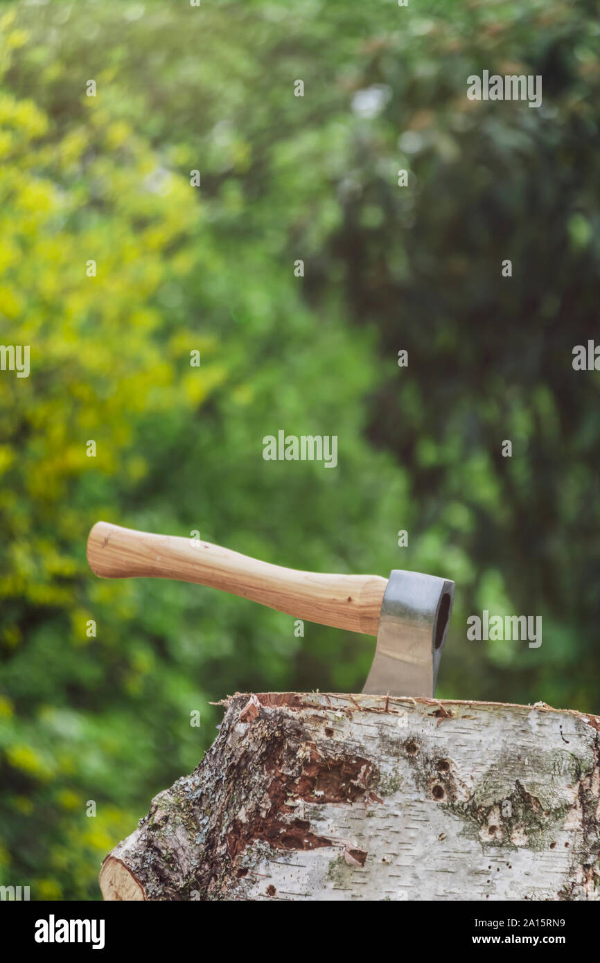 Axe in a tree trunk Stock Photo - Alamy