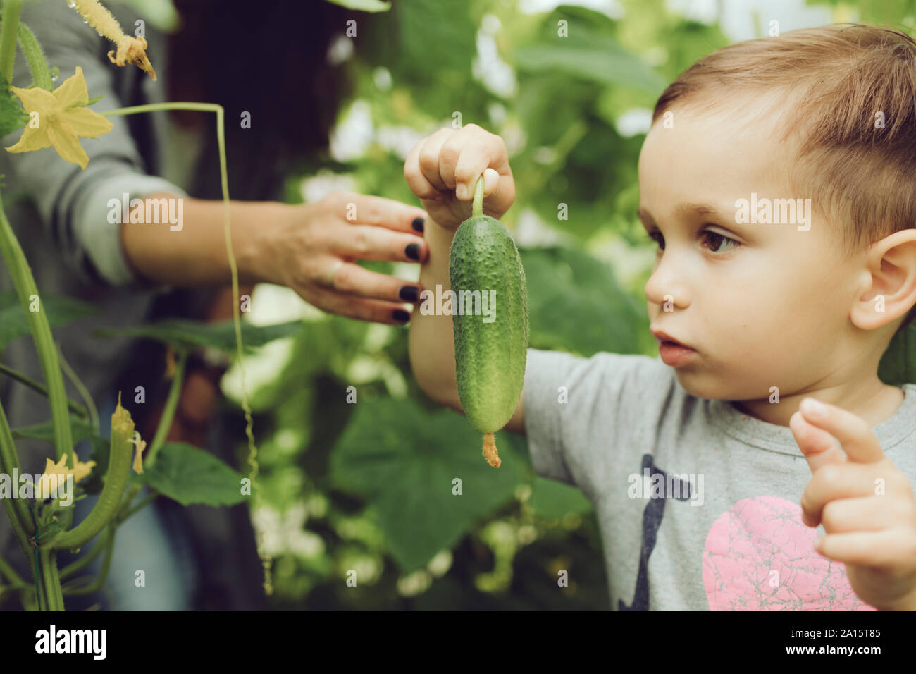 Child eating cucumber garden hi-res stock photography and images - Alamy