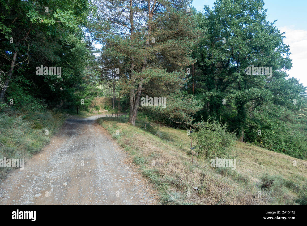 Natural environment of the town of Ripoll in Girona, Spain Stock Photo ...
