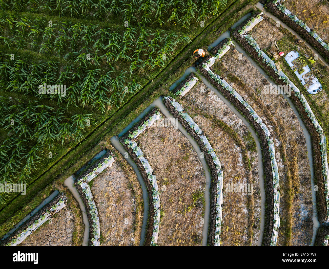 Drone shot bali hi-res stock photography and images - Alamy