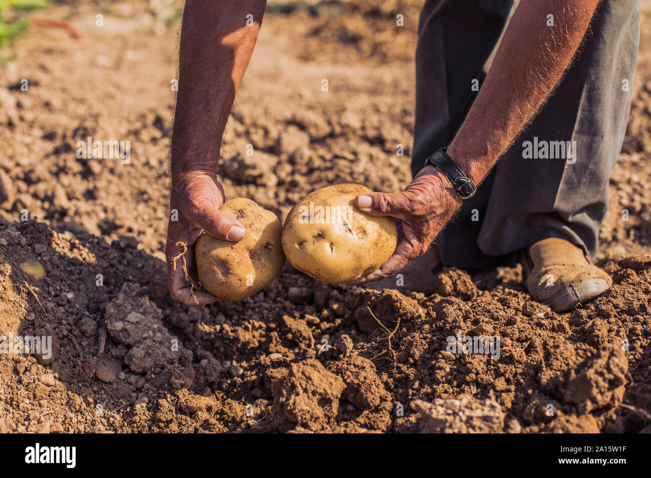 Man holding pitchfork hi-res stock photography and images - Alamy