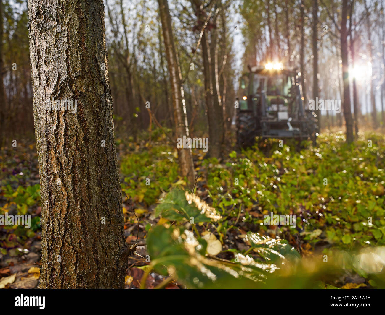 Tractor in a rainy forest hi-res stock photography and images - Alamy