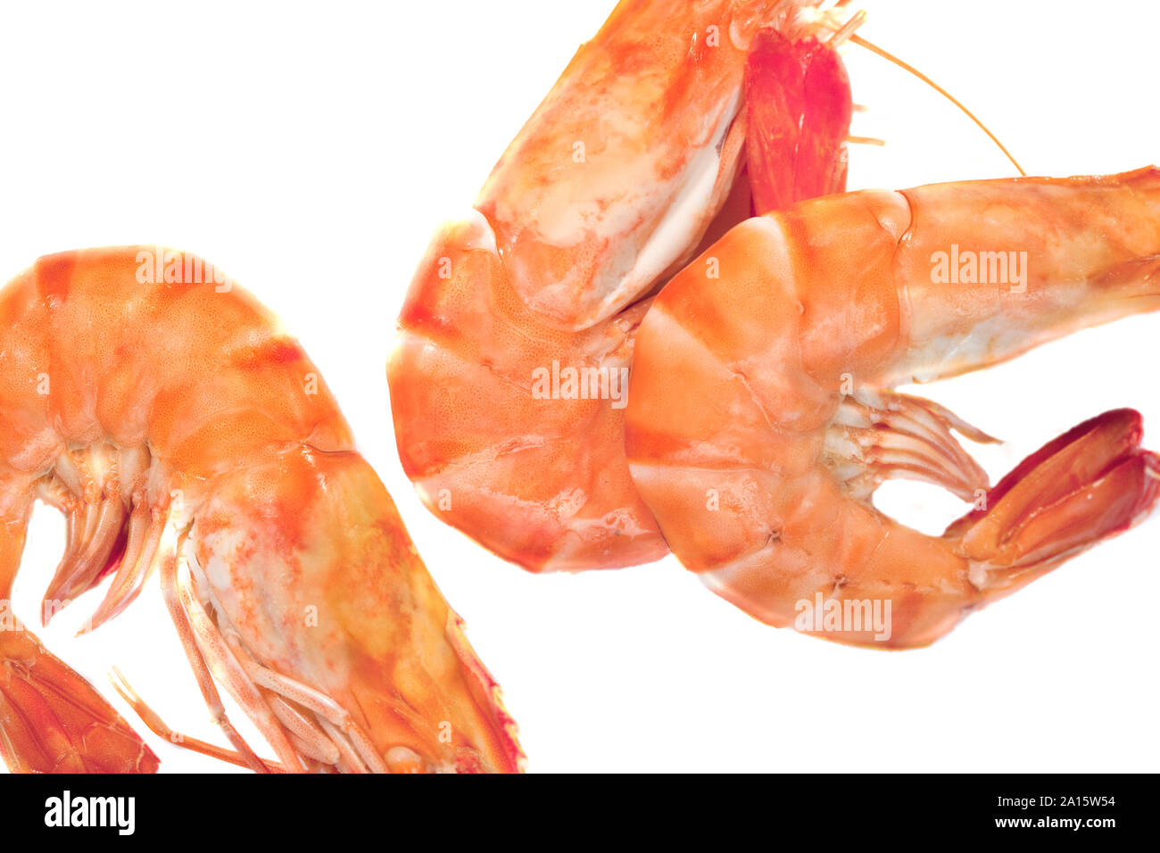 Shrimp cut out hi-res stock photography and images - Alamy