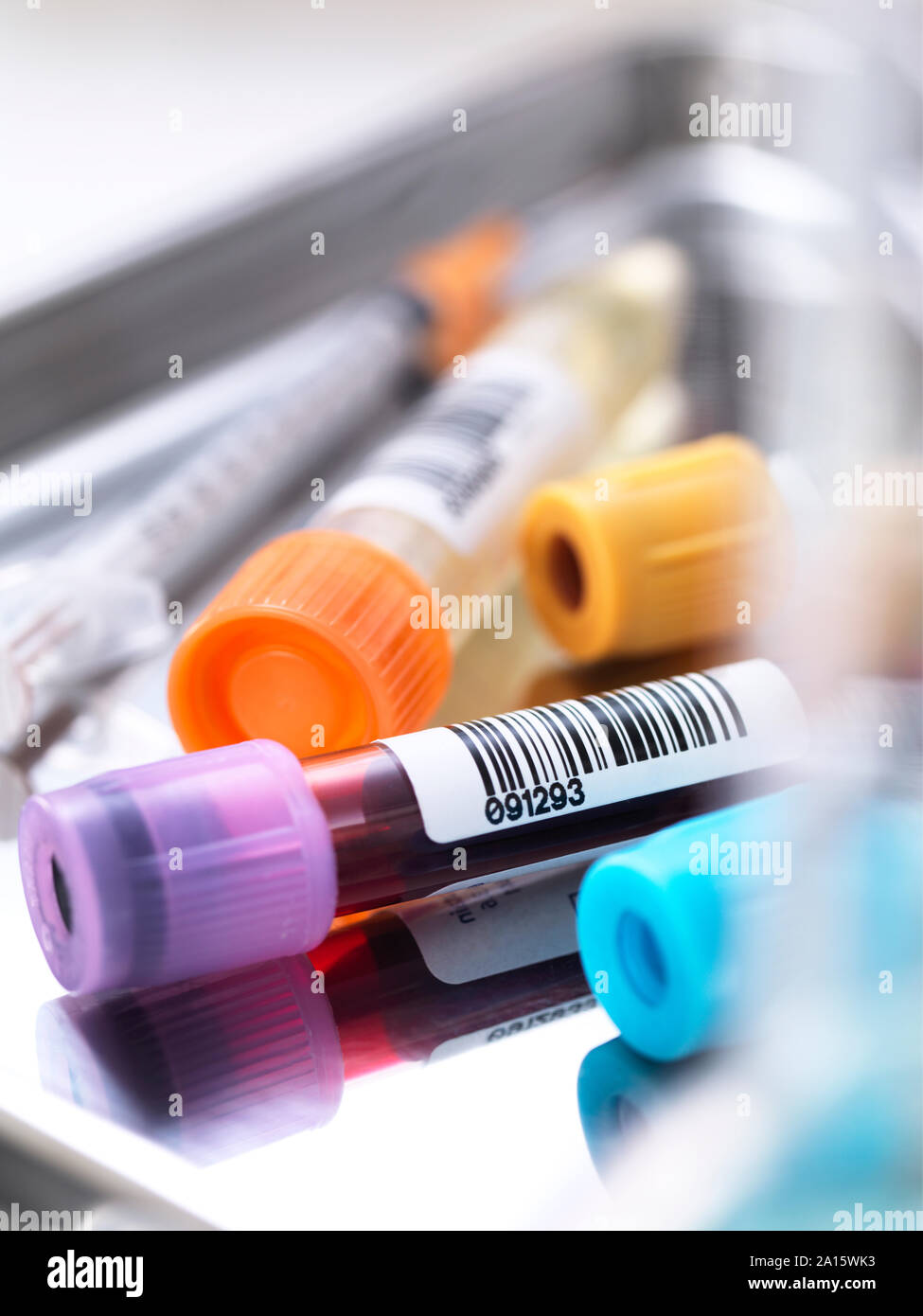 Samples in a tray in a laboratory Stock Photo - Alamy