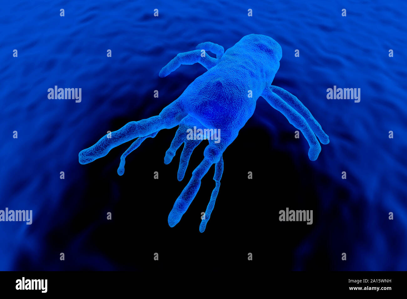 3D Rendered Illustration visualization of blue mite on skin Stock Photo ...