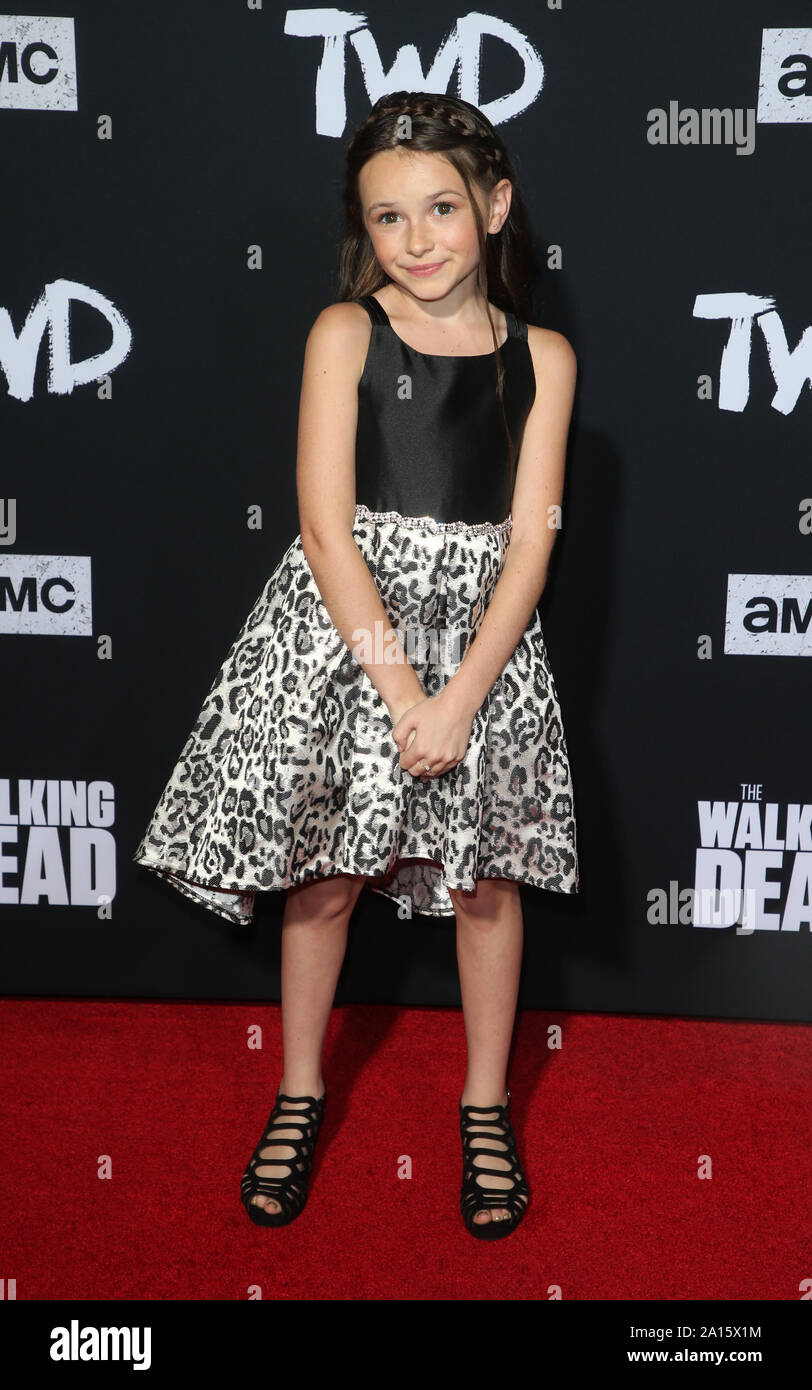 September 23, 2019, Hollywood, CA, USA: 23 September 2019 - Hollywood ...