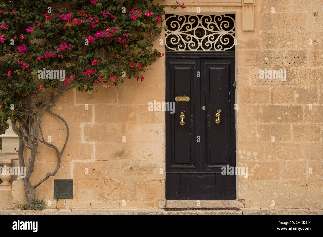Wooden door local house Stock Photo - Alamy