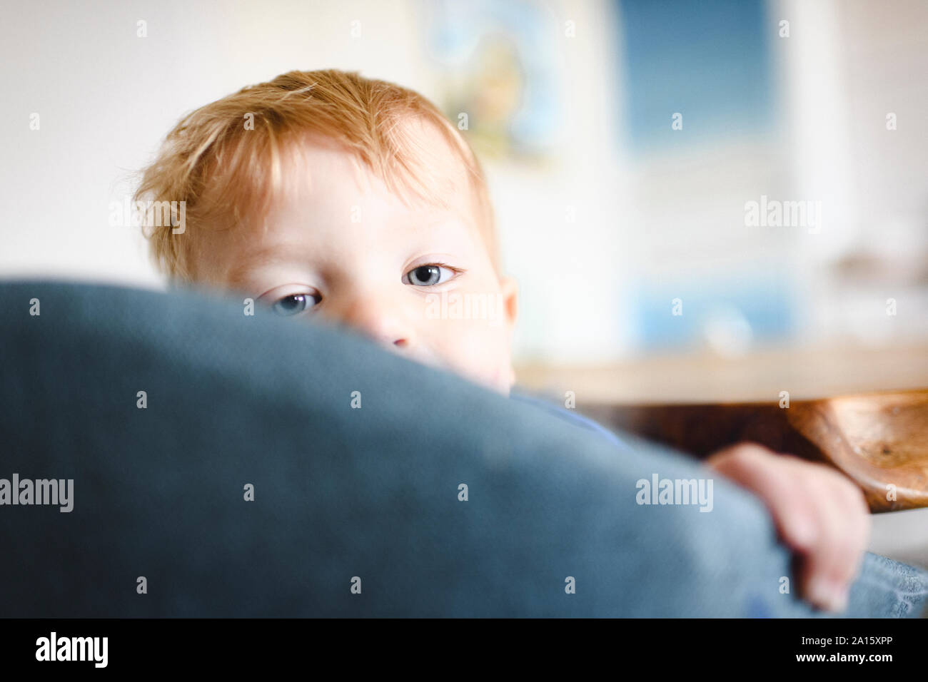 Portrait of cute little boy on a chair Stock Photo - Alamy