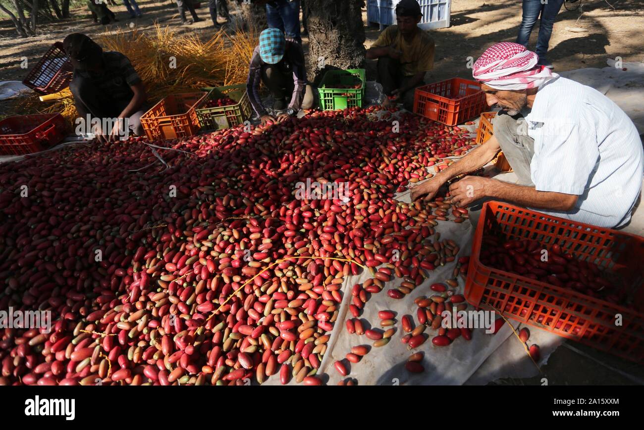 Deir Al-Balah, Gaza Strip, Palestinian Territory. 24th Sep, 2019 ...