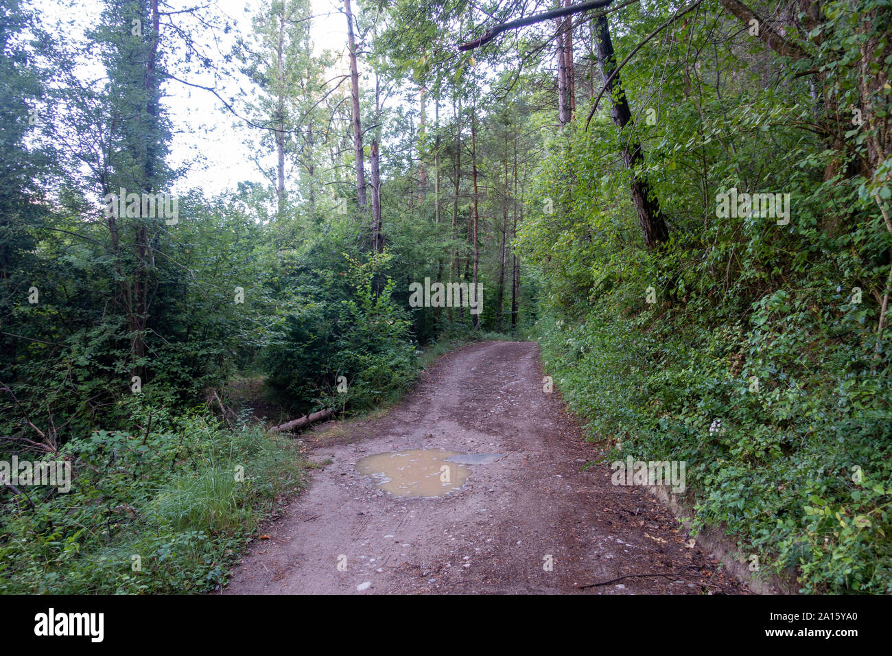 Natural environment of the town of Ripoll in Girona, Spain Stock Photo ...
