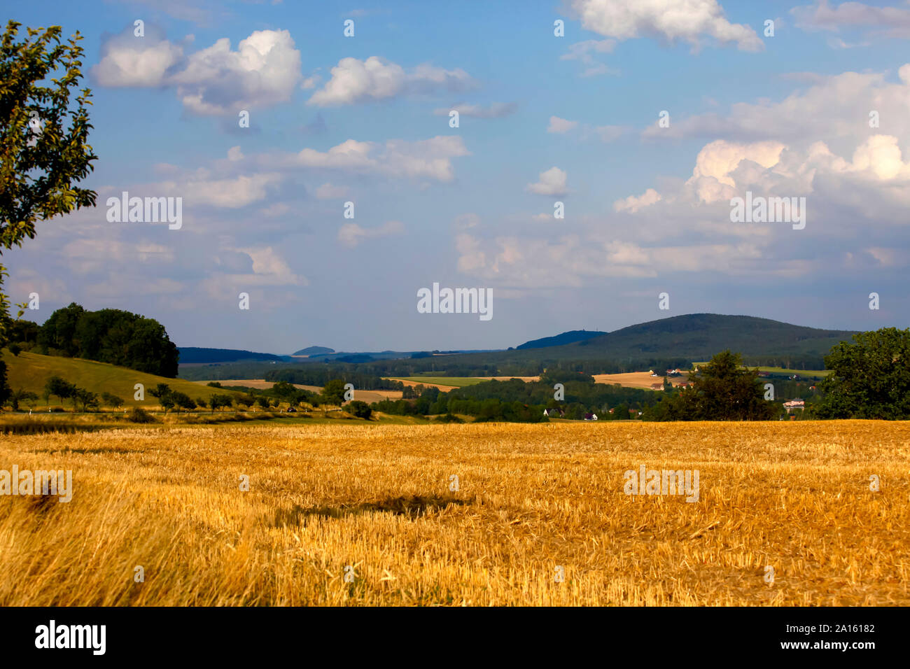 Field in germany hi-res stock photography and images - Alamy