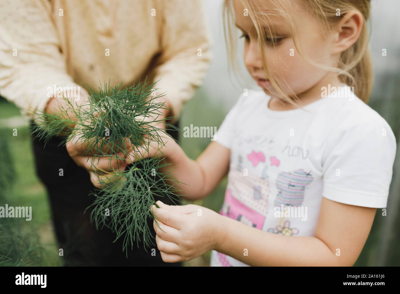 Day dill girl hi-res stock photography and images - Alamy