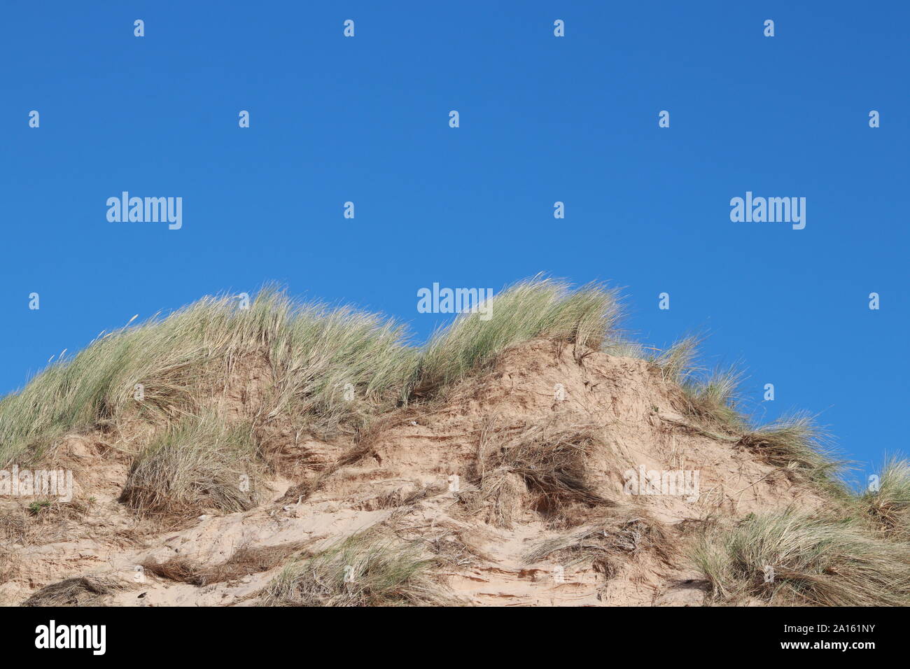 Loess dunes hi-res stock photography and images - Alamy
