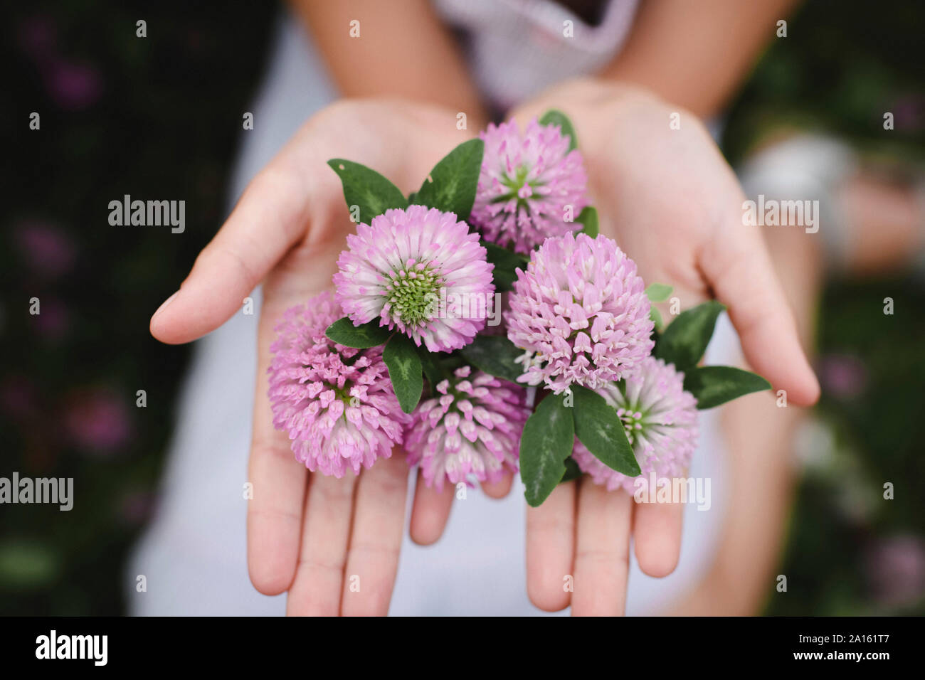 Girls hands holding red hi-res stock photography and images - Alamy
