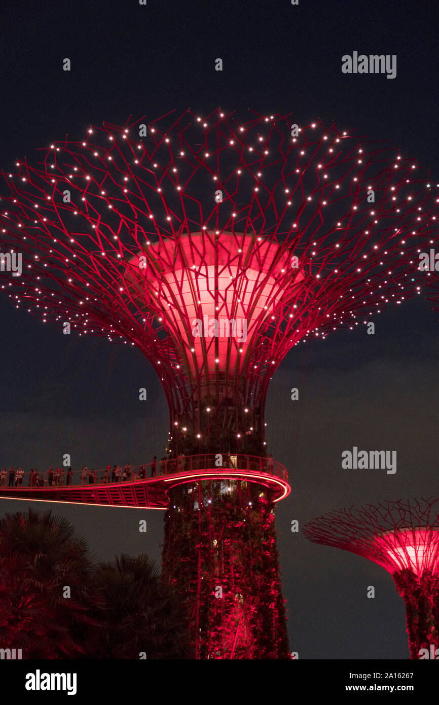 Singapore: night view of supertrees in the Gardens by the Bay (park ...