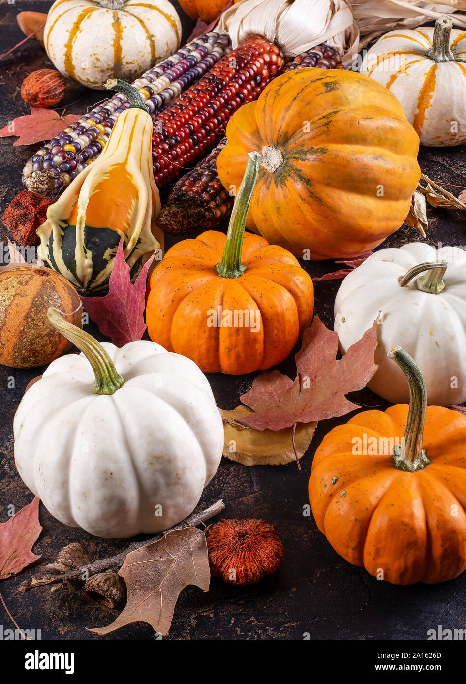 Assortment of colorful mini pumpkins, squash and corn on a wooden ...