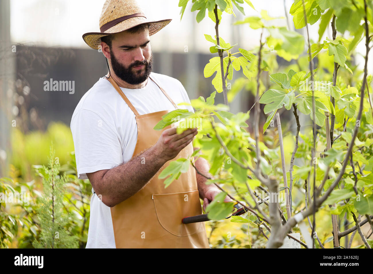 Garden centre plant damage hi-res stock photography and images - Alamy