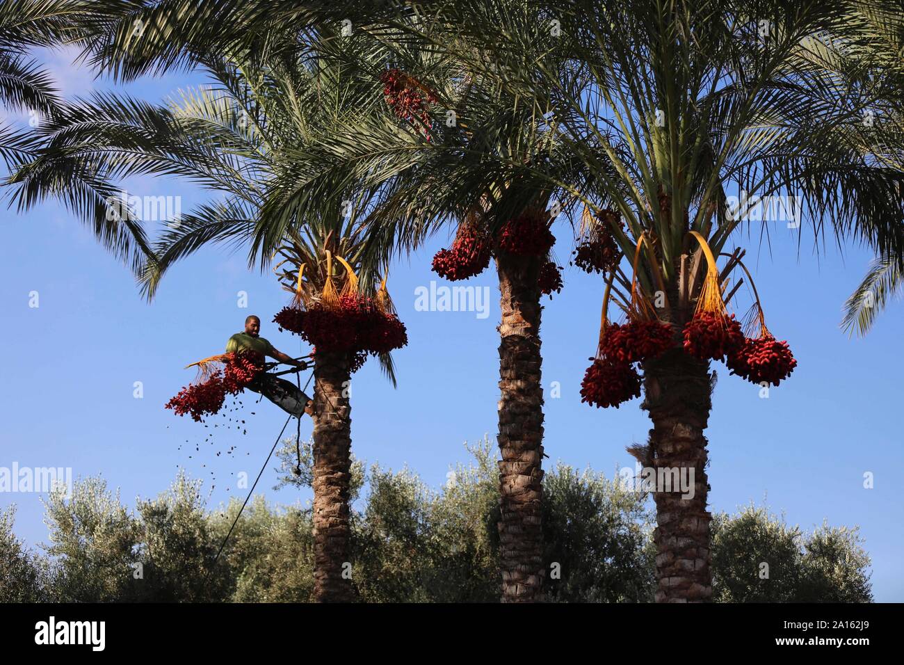 September 23, 2019, Deir Al-Balah, Gaza Strip, Palestinian Territory ...