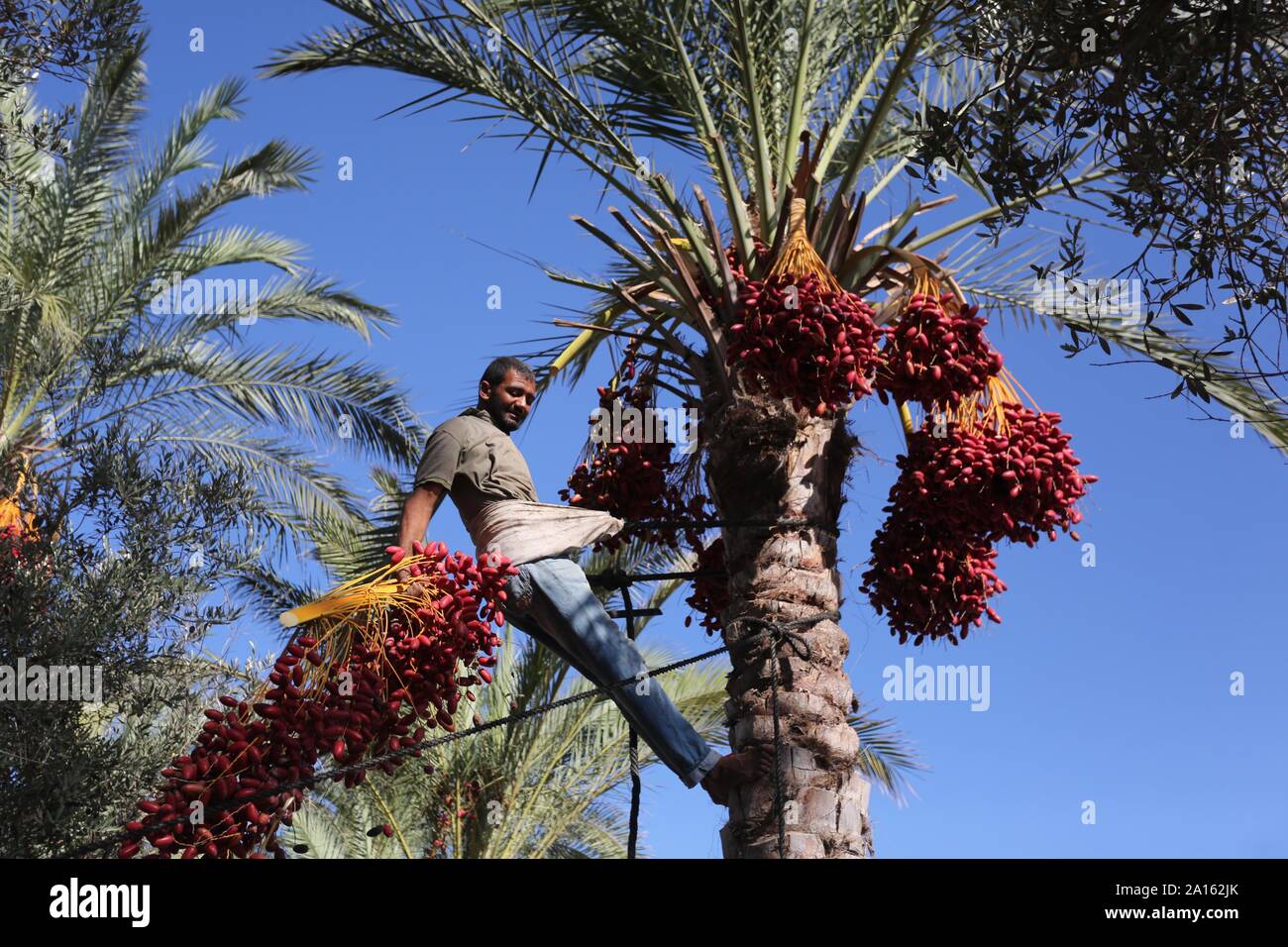 September 24, 2019, Deir Al-Balah, Gaza Strip, Palestinian Territory ...