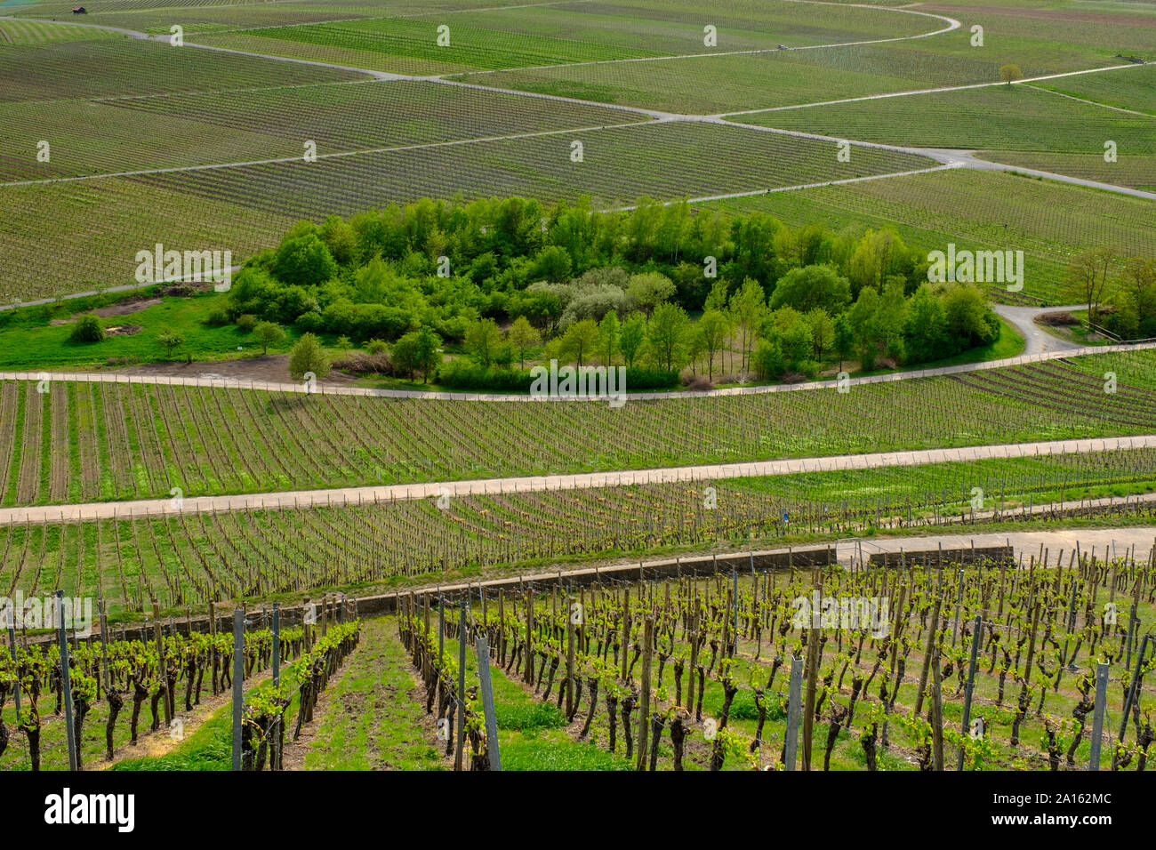 Julius echter hi-res stock photography and images - Alamy