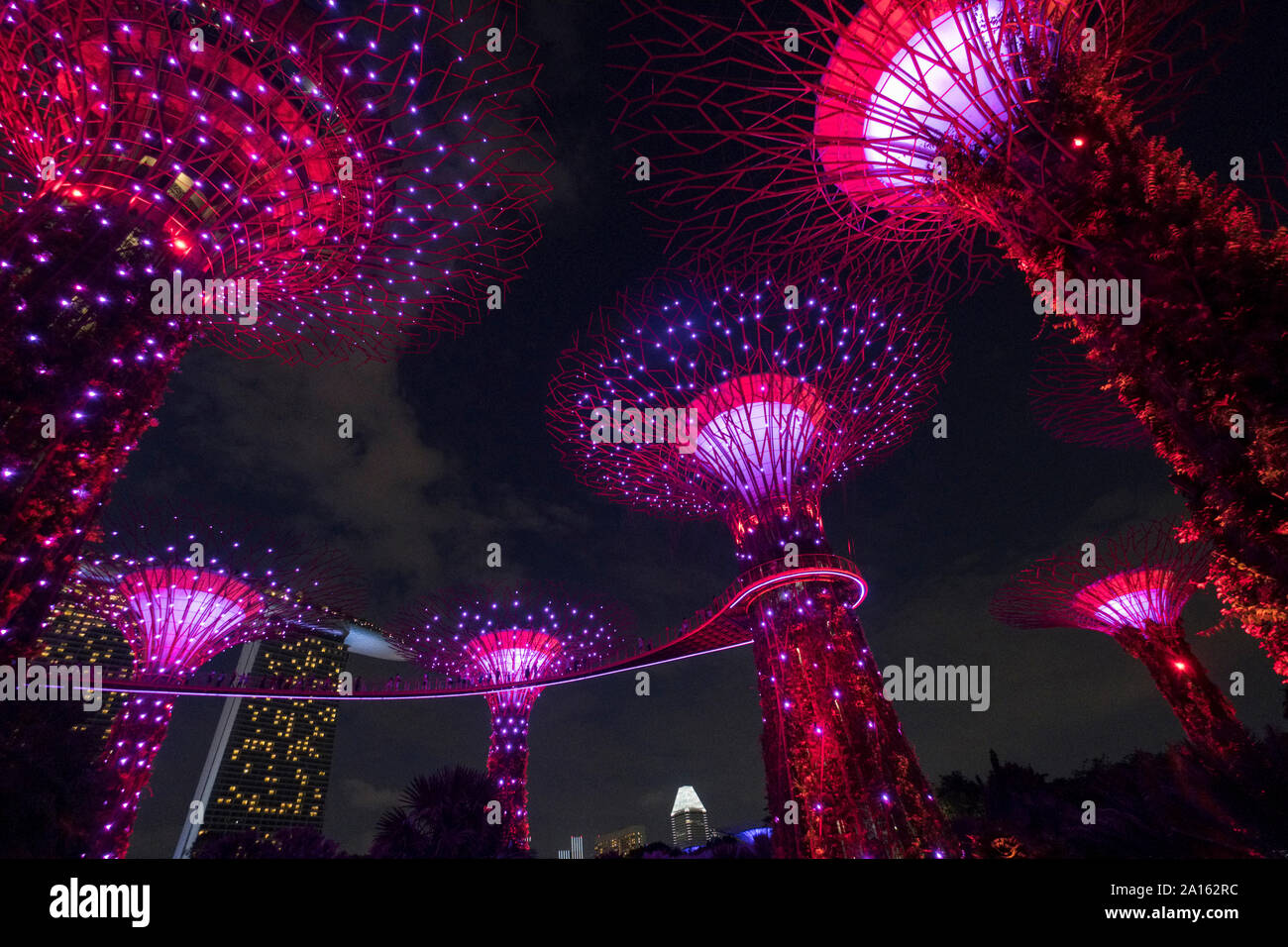 Singapore: night view of supertrees in the Gardens by the Bay (park ...