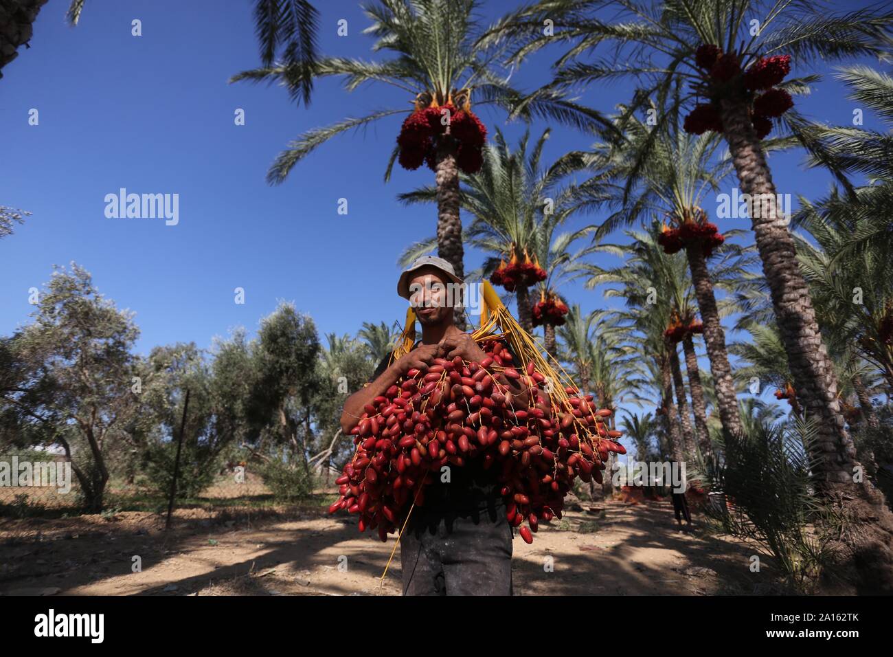 September 24, 2019, Deir Al-Balah, Gaza Strip, Palestinian Territory ...
