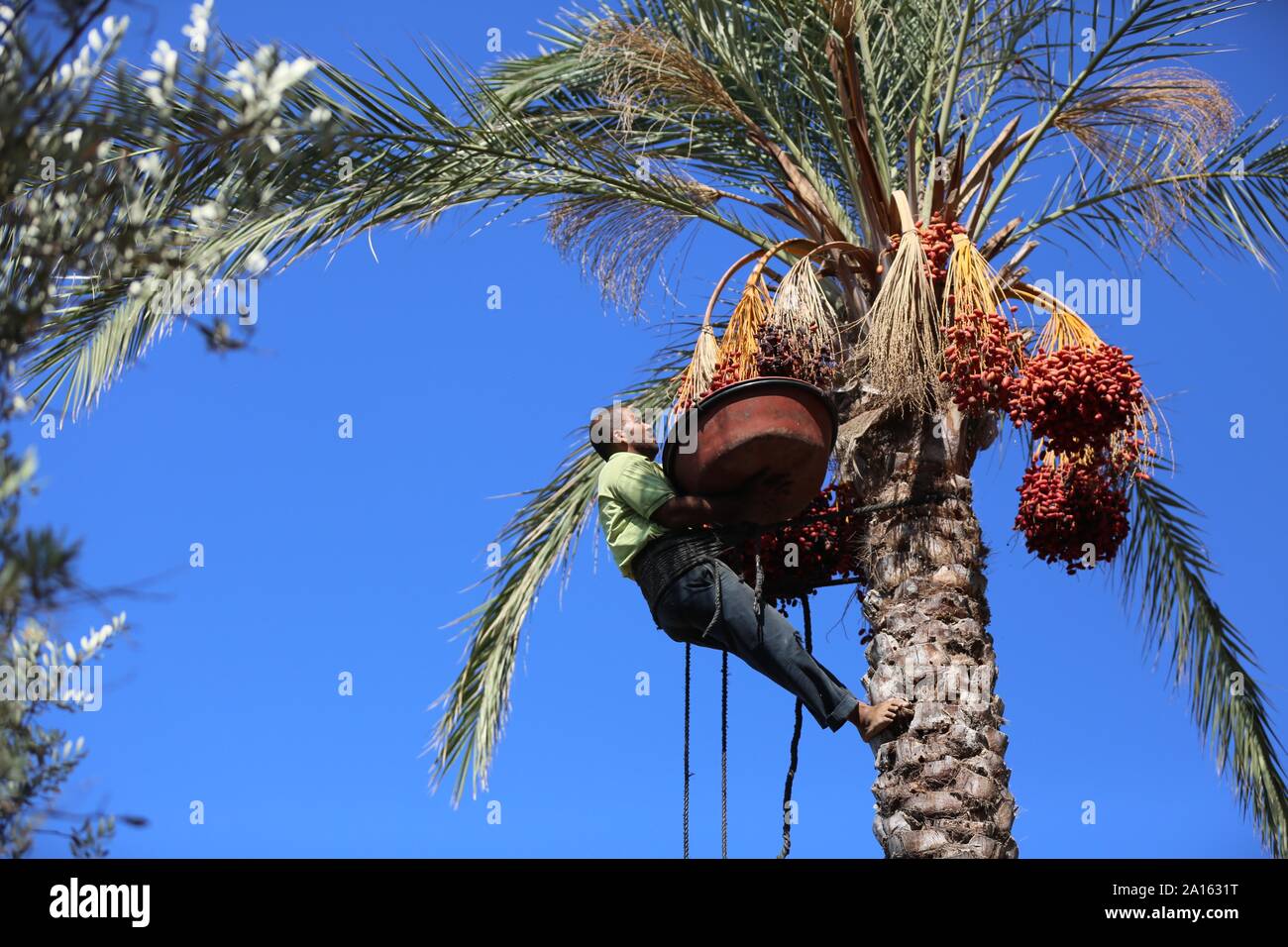 September 23, 2019, Deir Al-Balah, Gaza Strip, Palestinian Territory ...