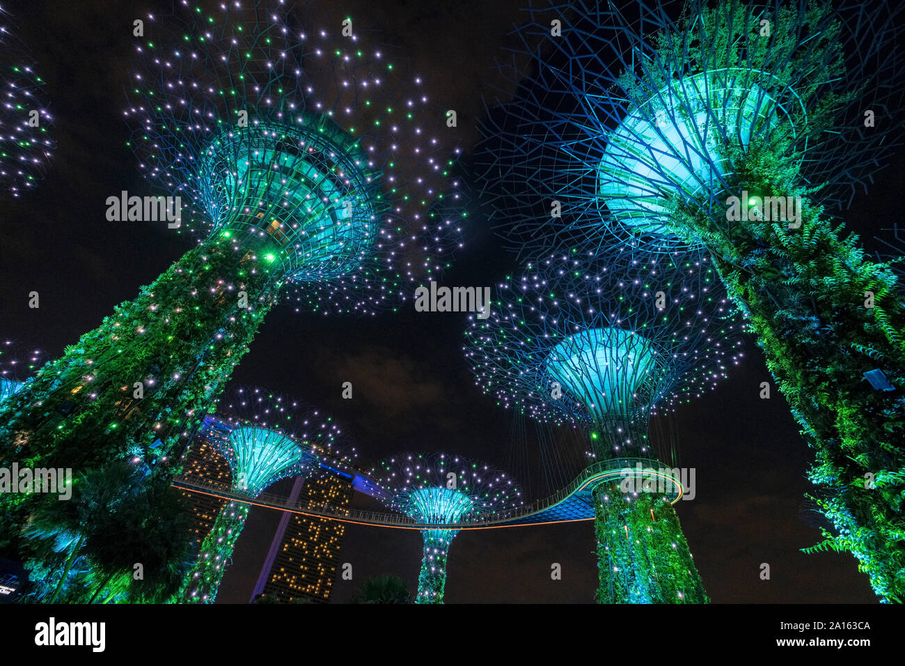 Singapore: night view of supertrees in the Gardens by the Bay (park ...