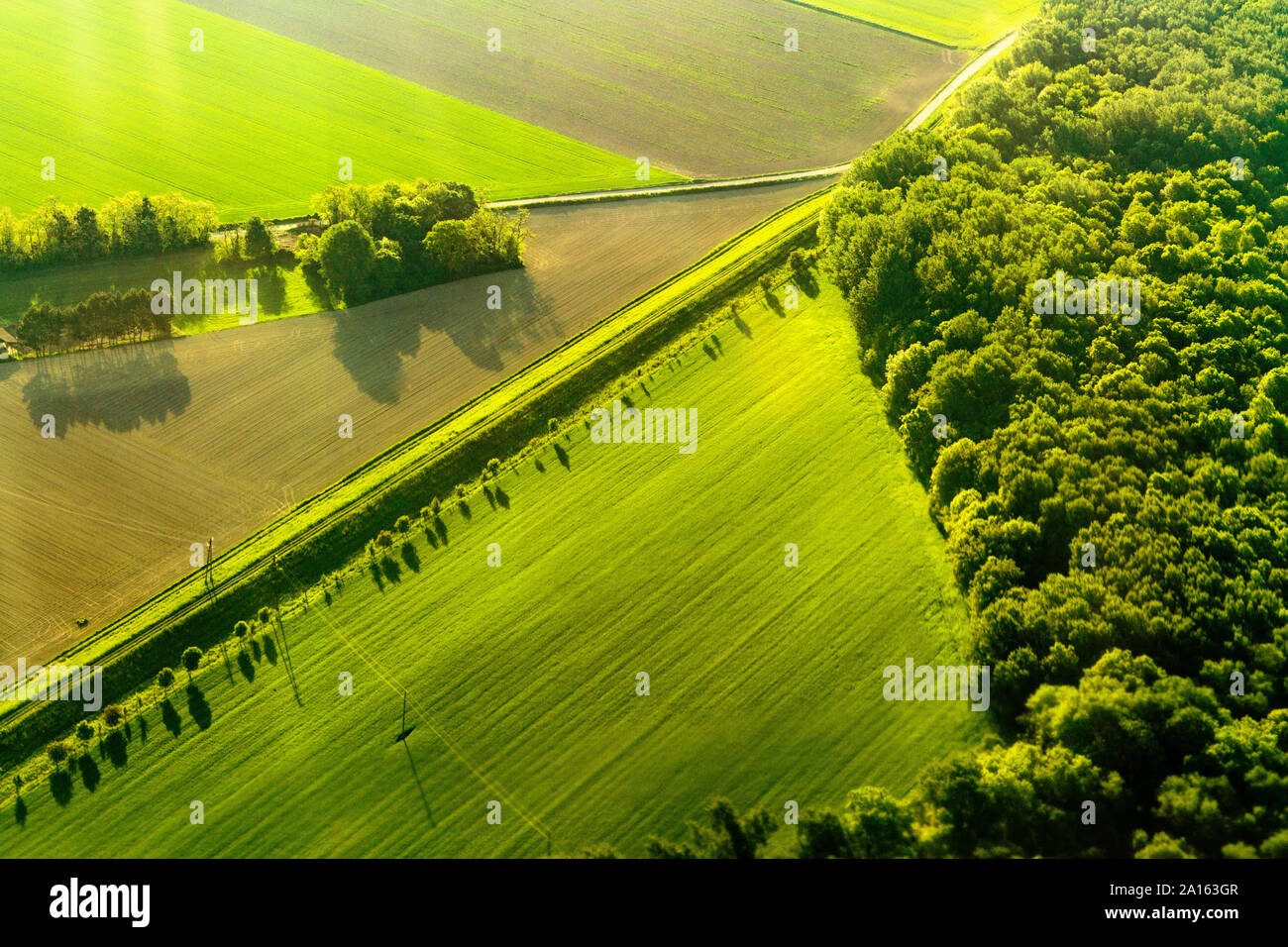 Sky forest fields aerial view hi-res stock photography and images - Alamy