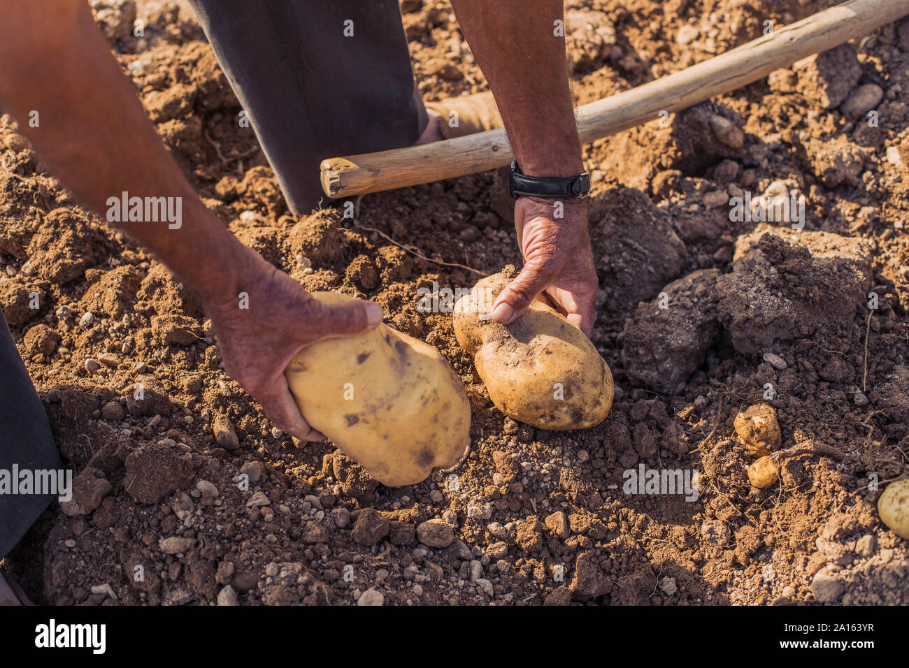 Man holding pitchfork hi-res stock photography and images - Alamy