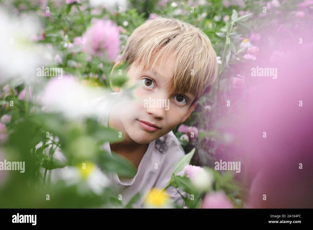 Boy flower hi-res stock photography and images - Alamy