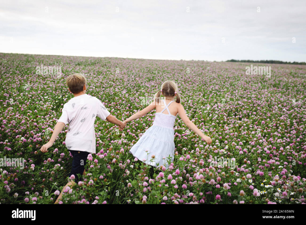 Two smiling children running over clover field Stock Photo - Alamy