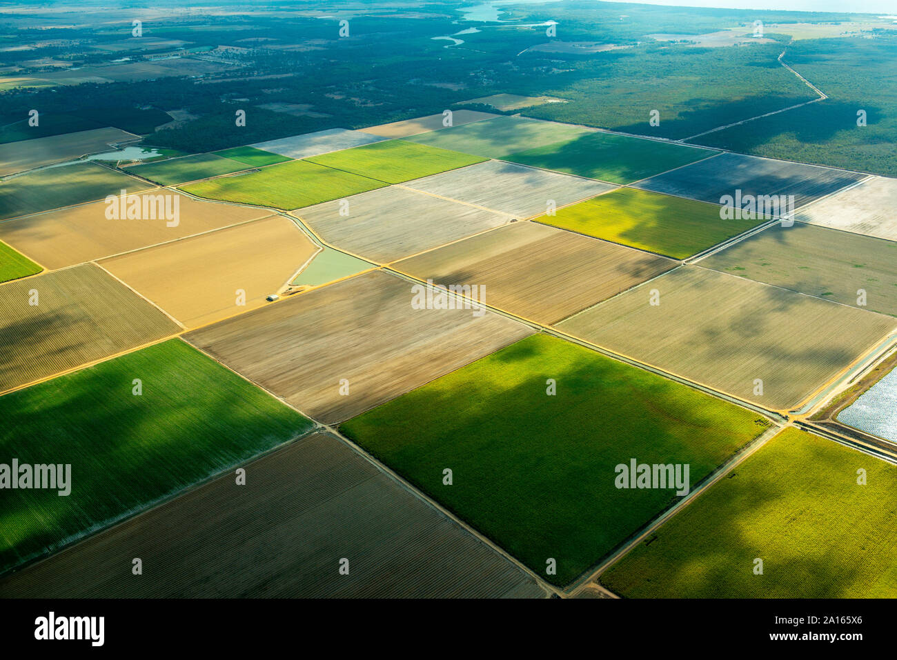 Aerial view of green fields cultivated in queensland hi-res stock ...