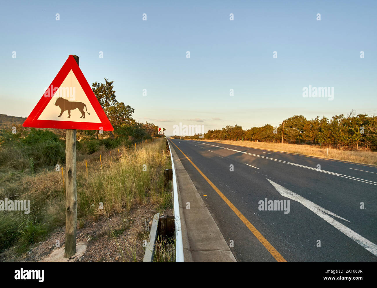 Beware of lions hi-res stock photography and images - Alamy