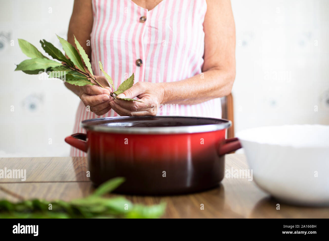 Woman in dress cooking hi-res stock photography and images - Alamy