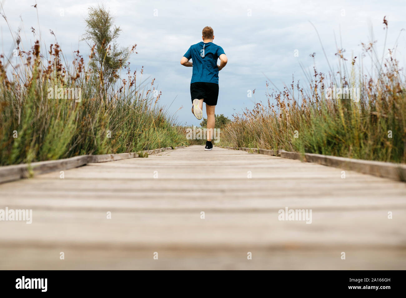 Running foot on grass hi-res stock photography and images - Alamy