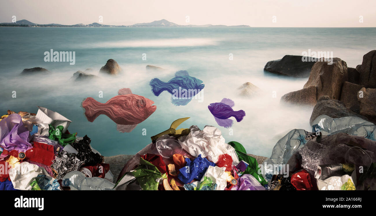 Plastic pollution ocean animals hi-res stock photography and images - Alamy