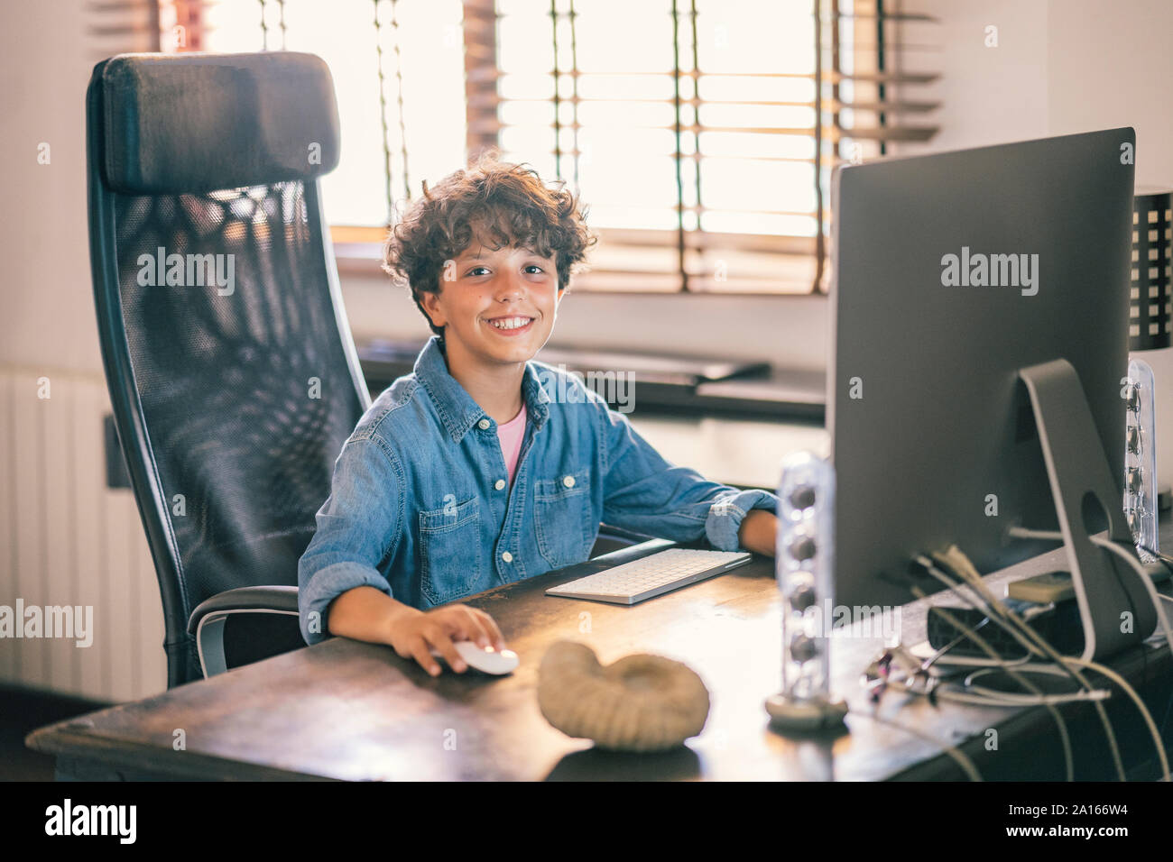 Portrait of smiling boy sitting at desk at home using personal computer ...