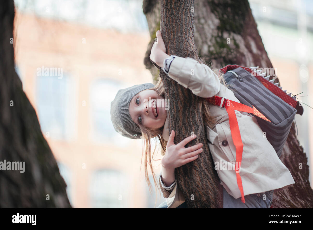 Portrait of a tree hi-res stock photography and images - Alamy