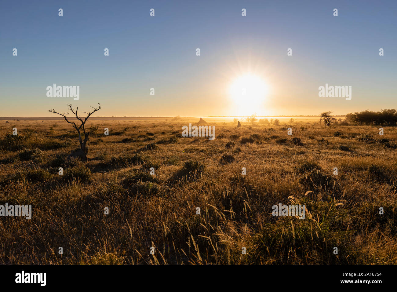Steppe climate hi-res stock photography and images - Alamy