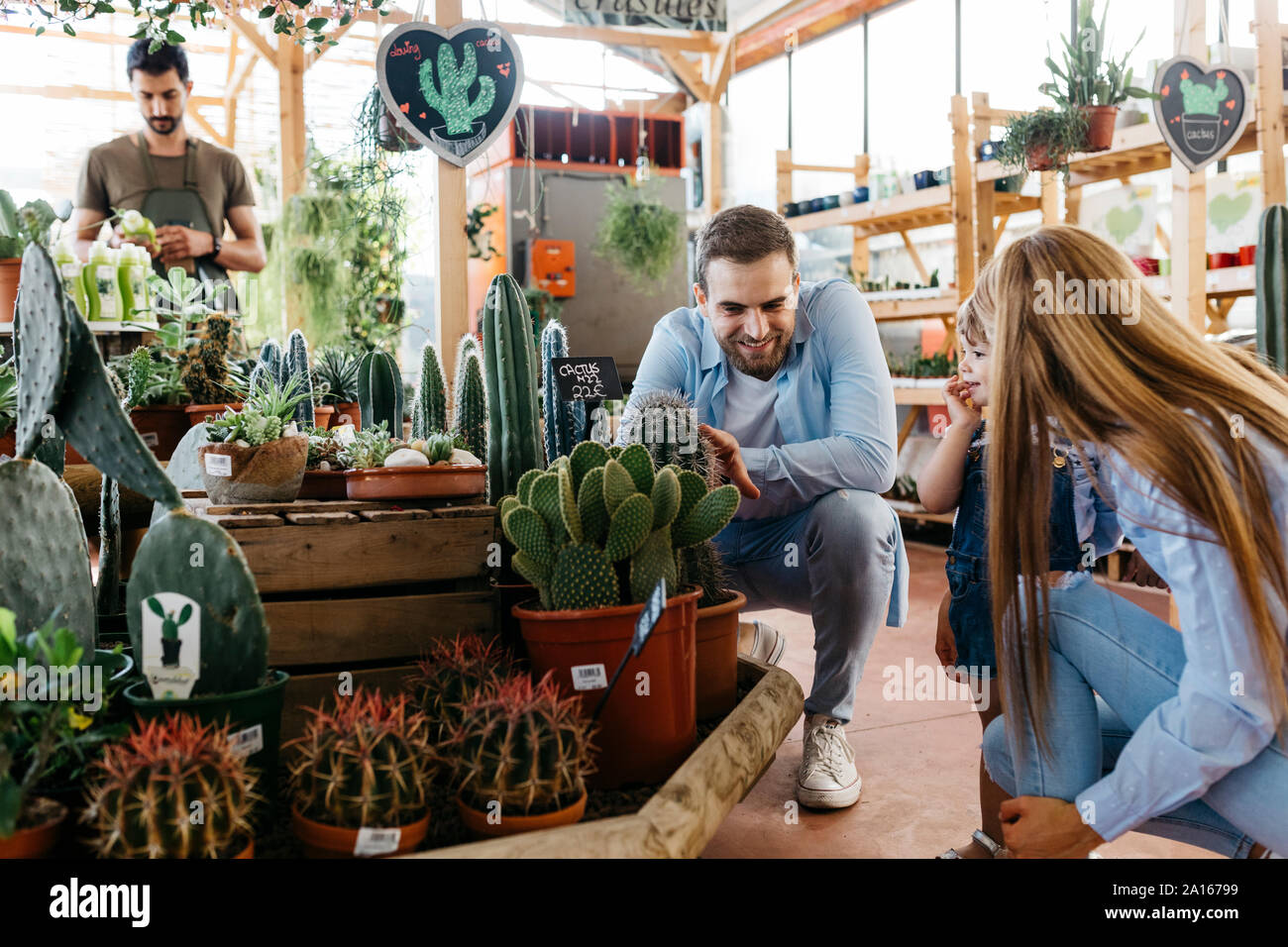 Inside retail plant nursery in hi-res stock photography and images - Alamy