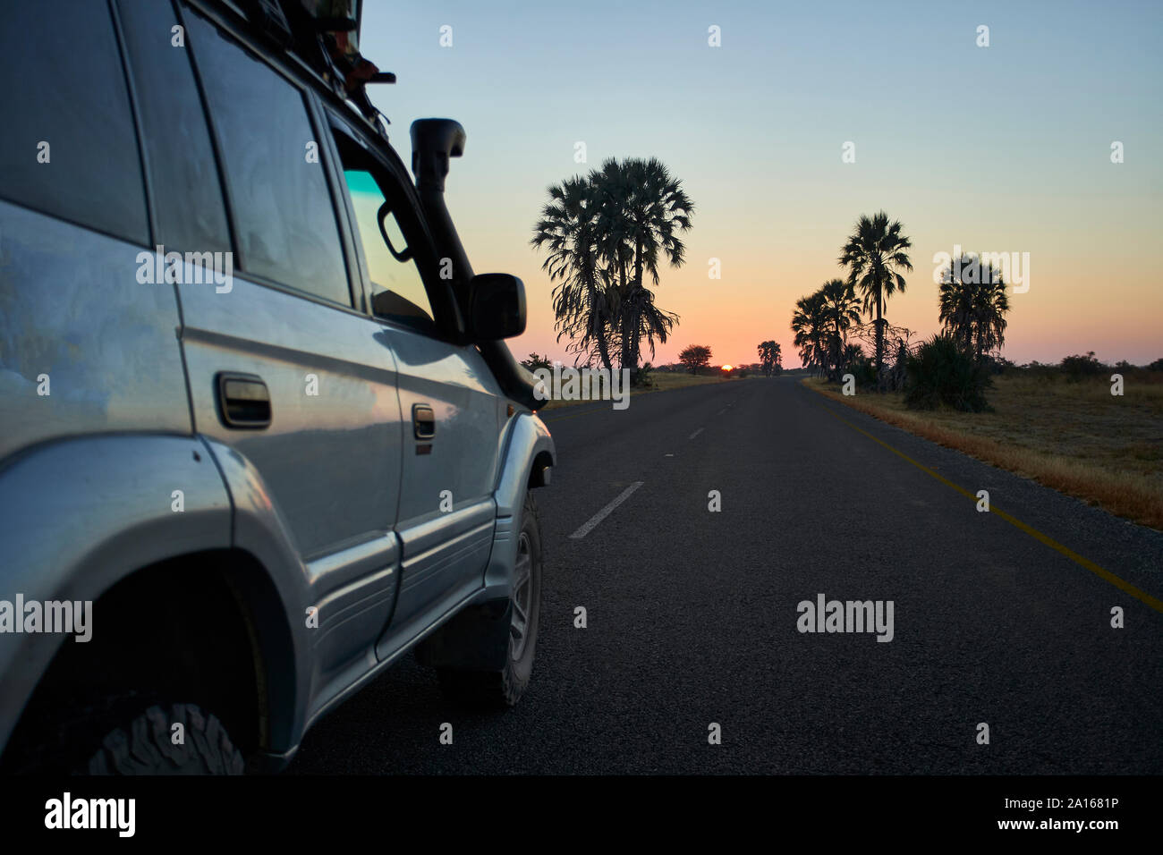 Botswana driving hi-res stock photography and images - Alamy