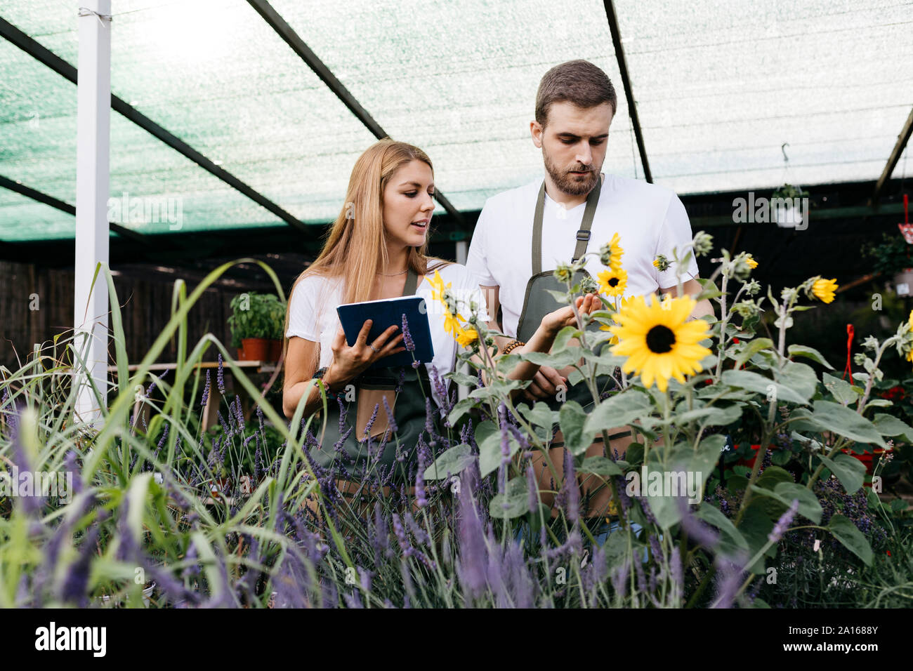 Caring for flowers hi-res stock photography and images - Alamy