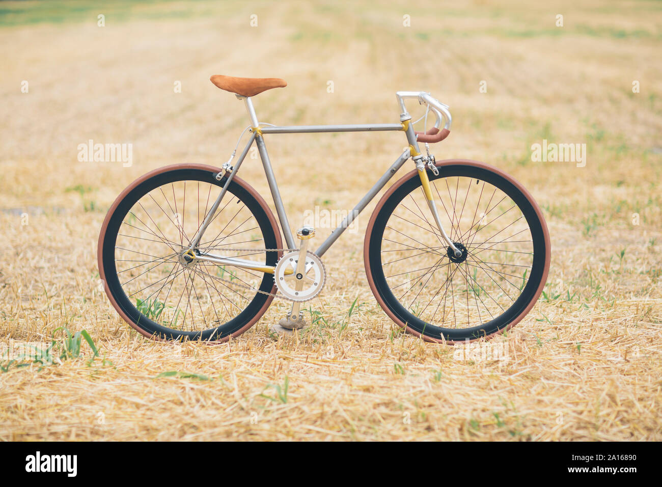 Handcrafted racing cycle on stubble field Stock Photo - Alamy