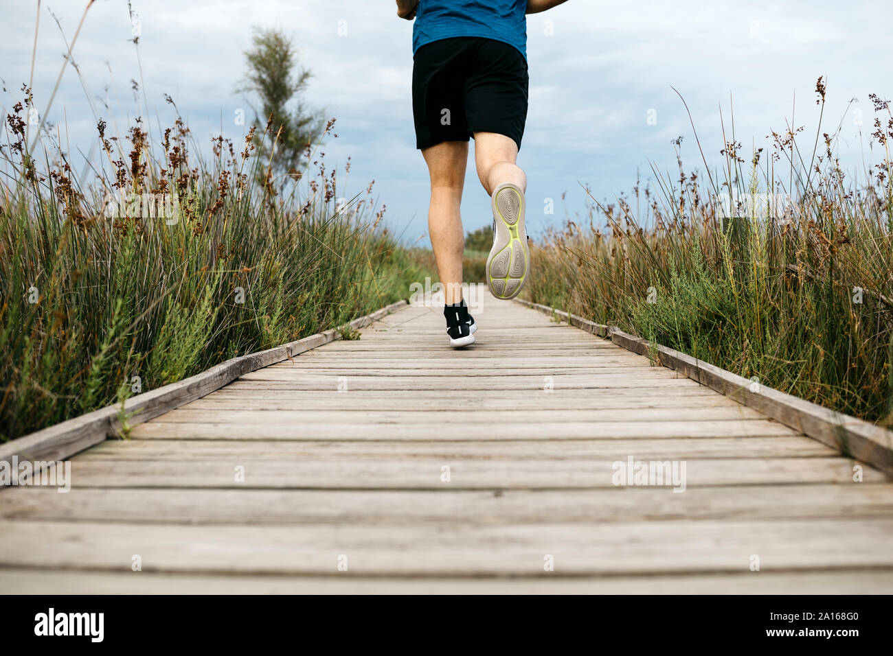Rear view of a male jogger running on a wooden walkway Stock Photo - Alamy