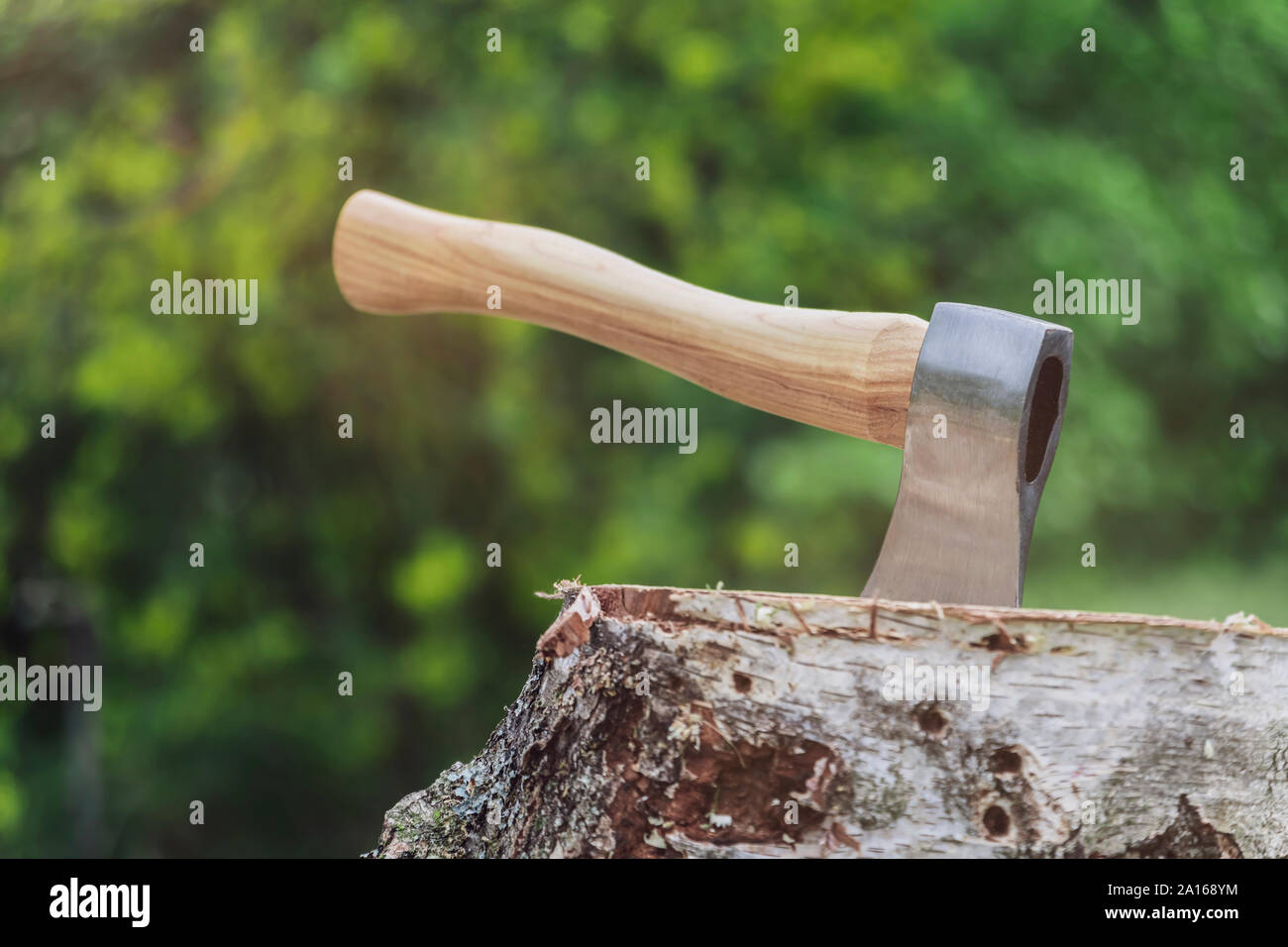 Axe in tree hi-res stock photography and images - Alamy