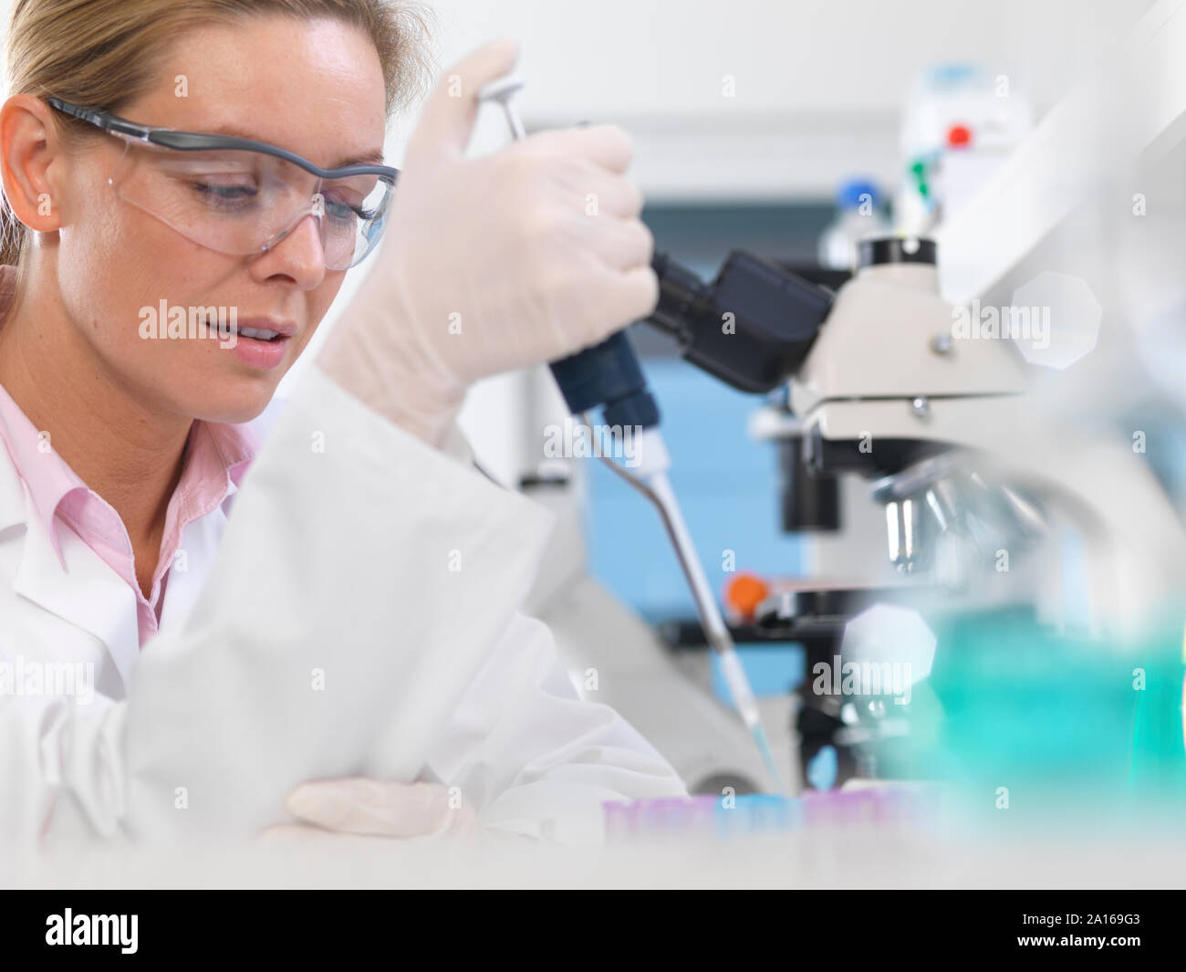 DNA Research, Scientist pipetting a DNA sample into a tube ready for ...
