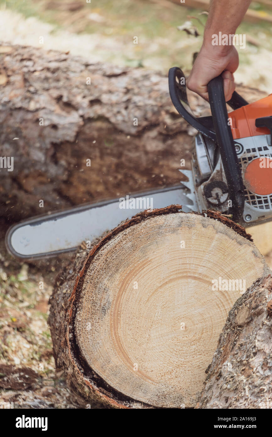 Man jointing a tree trunk with a motor saw Stock Photo - Alamy